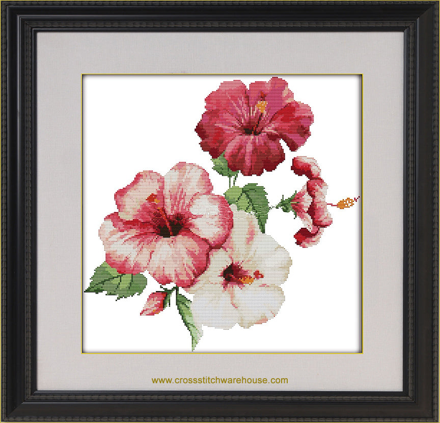 Cross Stitch kit - Hibiscus Portrait – crossstitchwarehouse.com