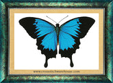 Stamped Cross-Stitch Kits – crossstitchwarehouse.com